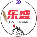 乐盛-九九 