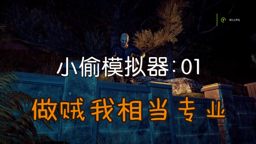 小偷模拟器01:小偷王熬出狱,手把手现场实际教学,什么叫PRO