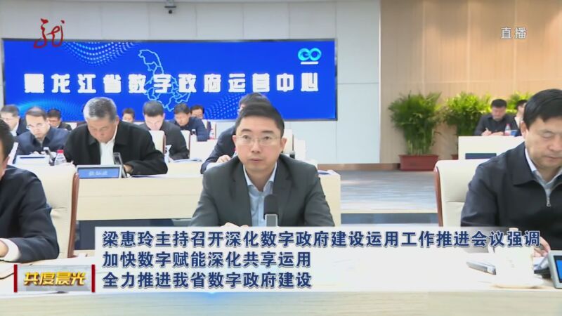 [共度晨光]梁惠玲主持召开深化数字政府建设运用工作推进会议强调 ...