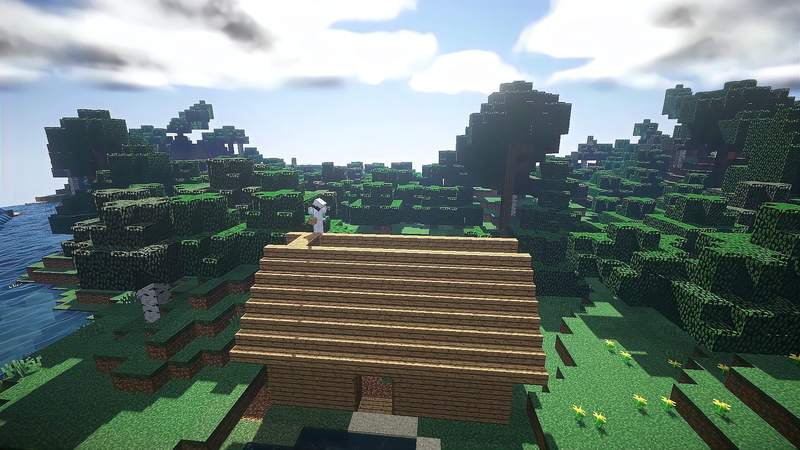 我的世界生存第一集 - 建造木屋