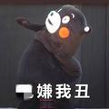 小冷剪辑 