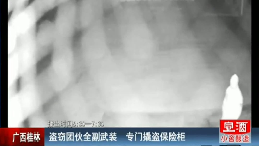 盗窃团伙全副武装 专门撬盗保险柜