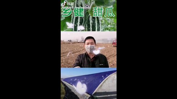 我们的生活《在希望的田野上》,生活在劳动中变样!ߍ�ߌ�ߌ