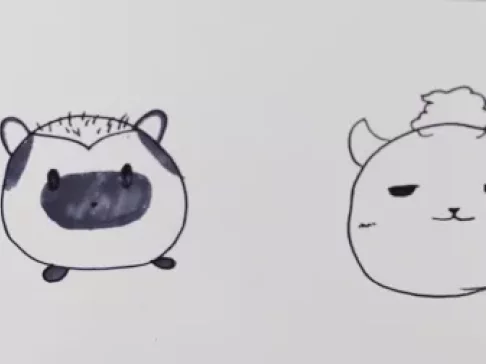 小美简笔画教程:两种可爱的小动物简笔画教程来啦!快拿起笔和小美...