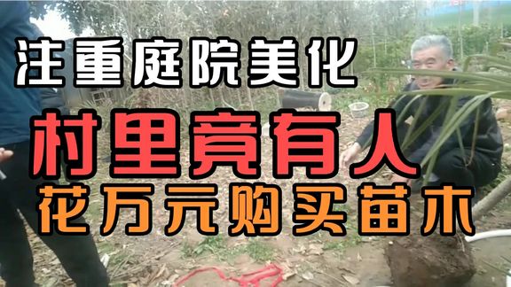 在商水越来越多的农村人注重庭院美化,竟有人花万元购买绿化苗木