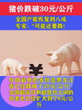 猪价跌破30元一公斤!叠加全国产能恢复到八成,专家:可能还要跌!