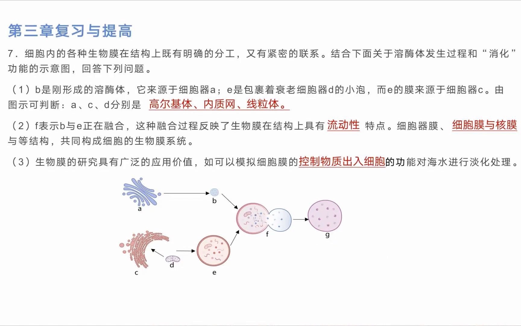 高中生物必修一课后题:第三章复习与提高3