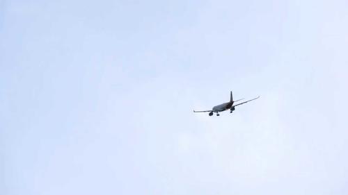 这么大的客机航模见过吗,在飞行过程中直接怼地上了~1