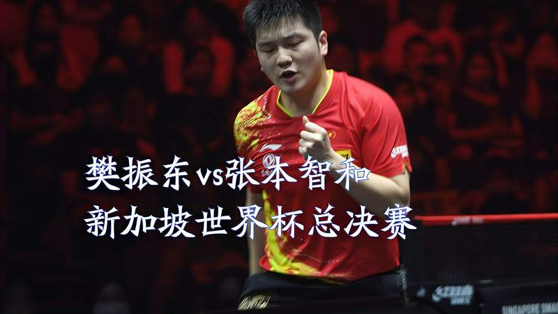 樊振东vs张本智和 新加坡世界杯总决赛