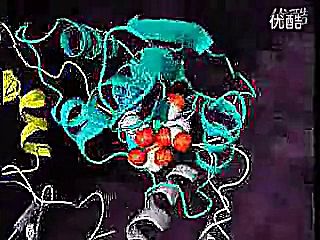 艾滋病病毒的逆转录繁殖过程模拟视频 标清_标清