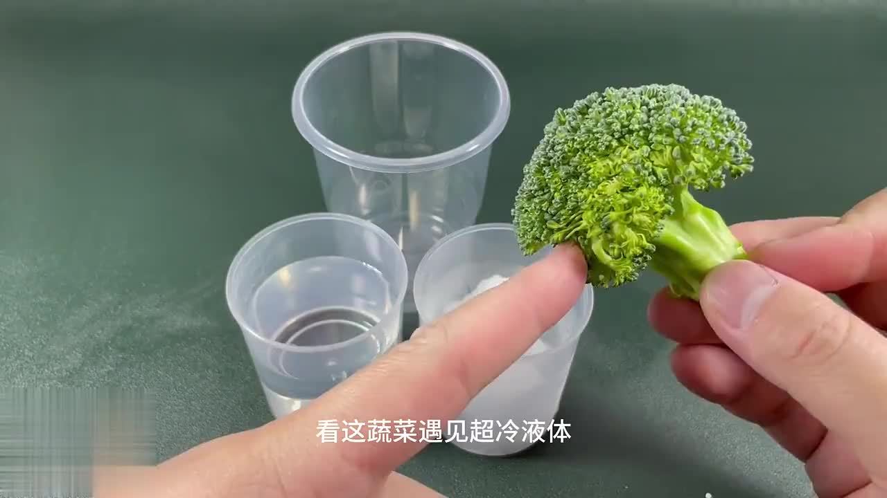 科学小实验,用干冰和酒精制作超冷液体,趣味科普