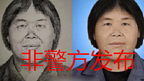 警方回应称梅姨真实存在:第二张画像由专家绘制,家属寻子心切先发布