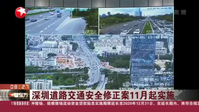 深圳道路交通安全修正案11月起实施:司机有责任提醒乘客系安全带