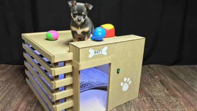 狗狗的窝不够高大上?何不自己做一个,用硬纸板做一个的小狗屋吧