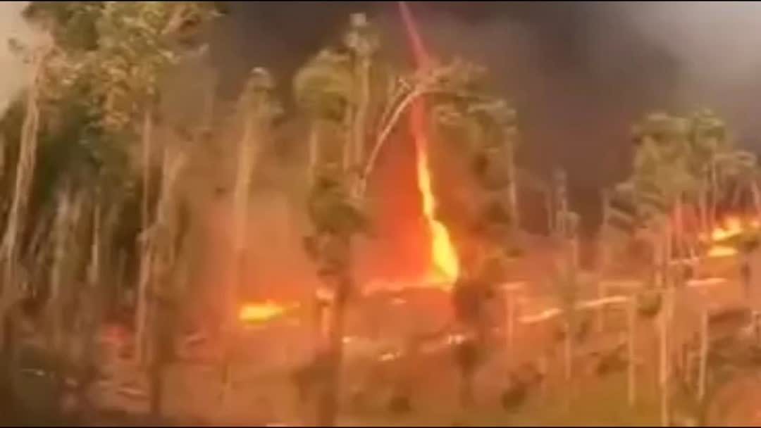 这个地球的森林大火远不止你看到的那么多。