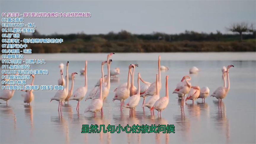 《经典老歌》 粤语经典大合集