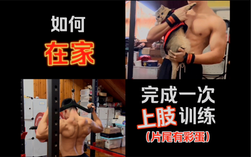 如何在家完成一次上肢训练?自己编排训练计划并不难!