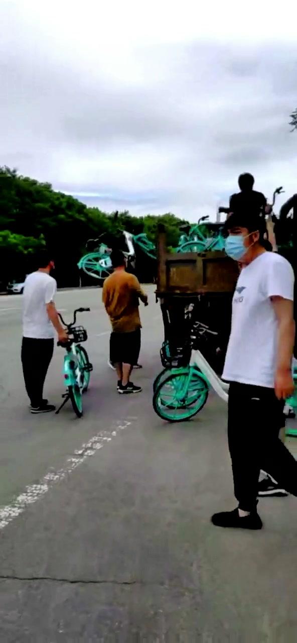 谁说青桔单车葫芦岛合法了的?