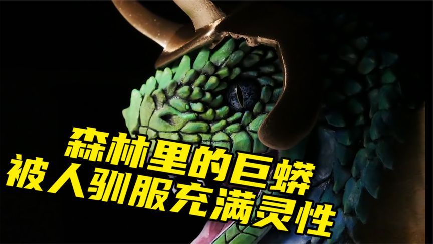 模型制作:森林里的巨蟒其实也很有灵性,最后被收服当成坐骑