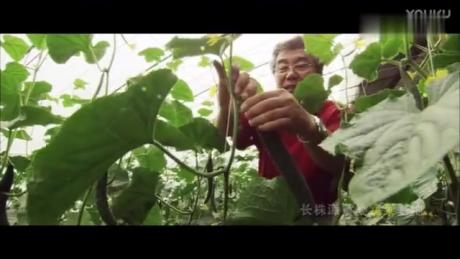 株洲县形象宣传片_高清
