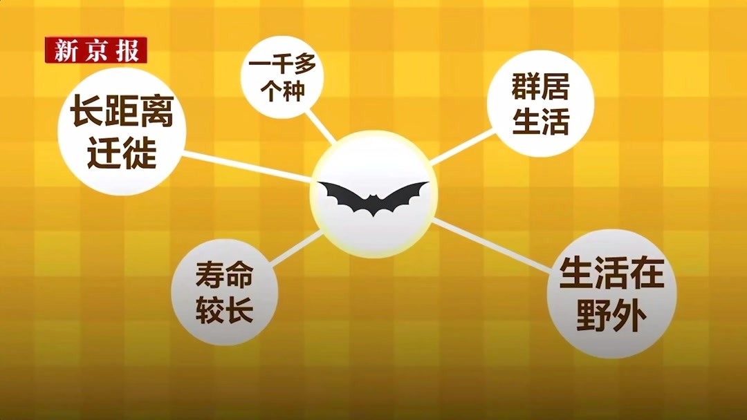 专家释疑武汉新型冠状病毒:传染源尚未找到 宿主仍待解