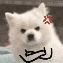 mona学长-中外合作办学 