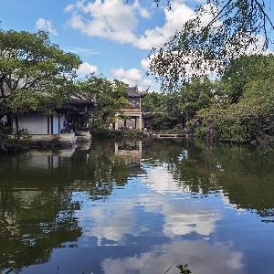 善解人意小馋猫 