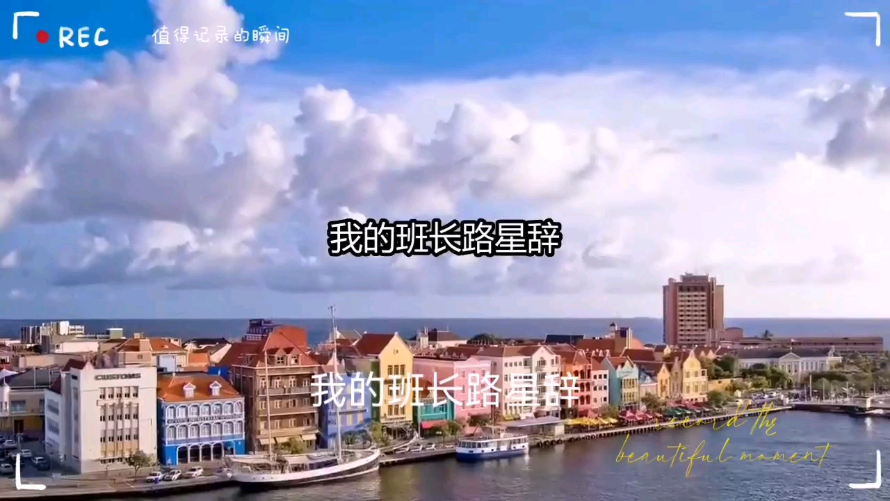 【路星辞段嘉衍】可以看出阿也对成语不太熟悉了!