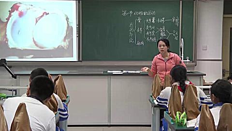[配课件教案]1.人教版生物八上《第一节 动物的运动》北京市省一等奖