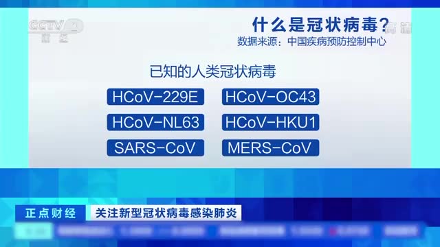 5.课外拓展2019-nCoV 2019新型关注病毒