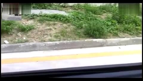 科目三灯光模拟考试全过程 科目二 倒车入库技巧(车内视角)