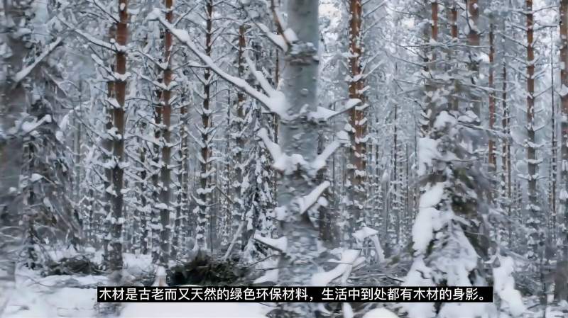 你了解木材对人体健康的功效吗?