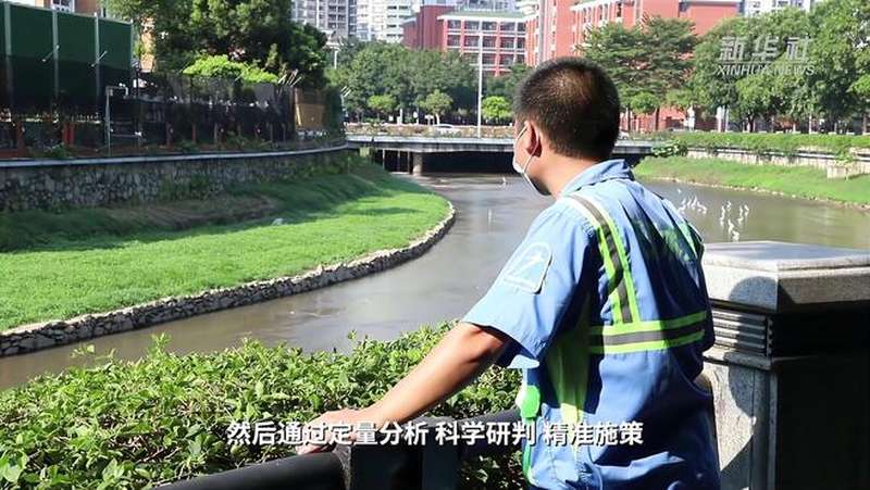 江河奔腾看中国·珠江新颜|珠三角建成绿色生态水网