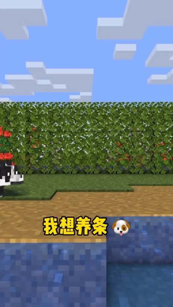 听说这个模式可以无限循环……#我的世界