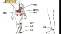 刮痧疗法三十种常见病的治疗