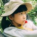 李骨朵儿 