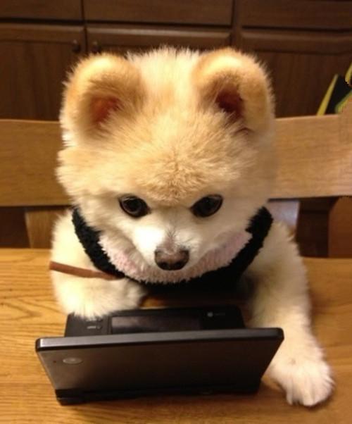 娱乐影视通天下 