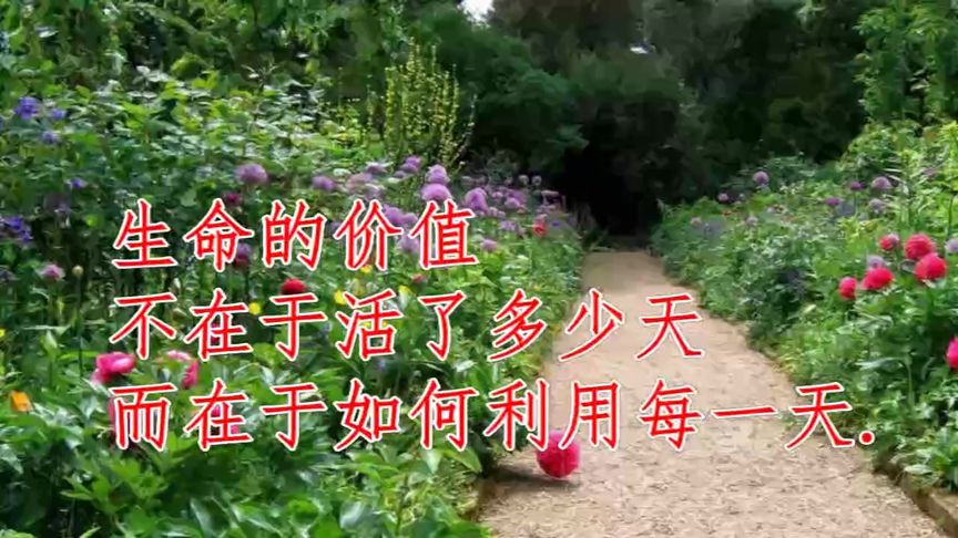 生命的价值不在于活了多少天,而在于如何利用每一天