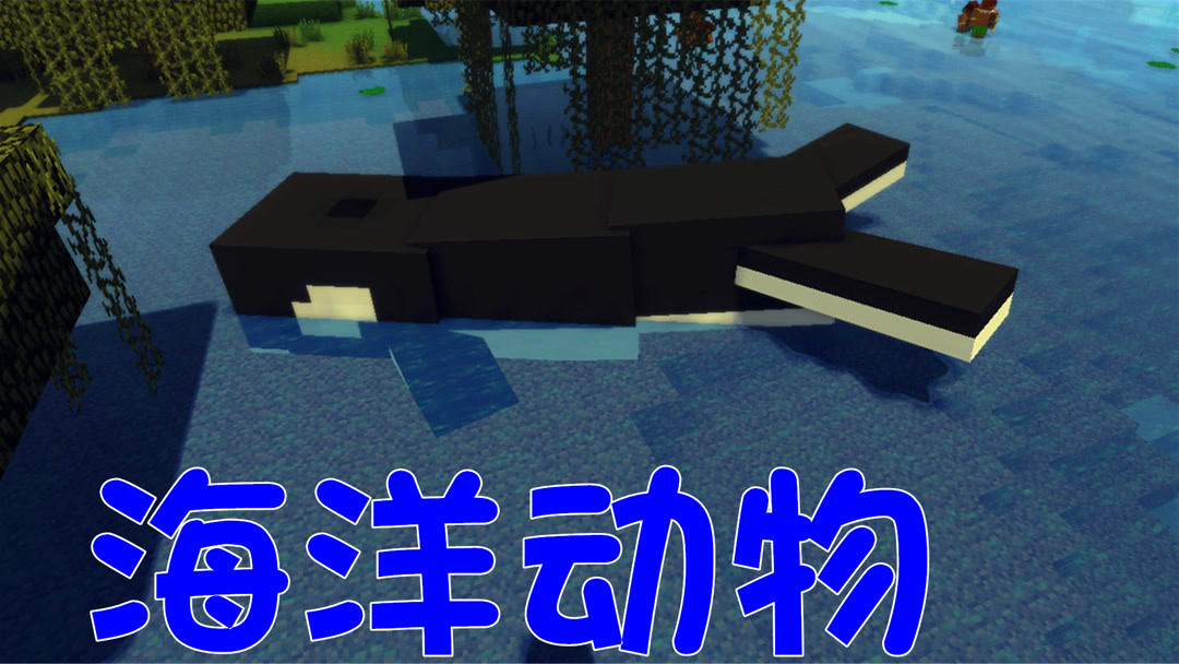 伟幻|我的世界模组介绍 这些海洋动物让你的海底世界更丰富 上