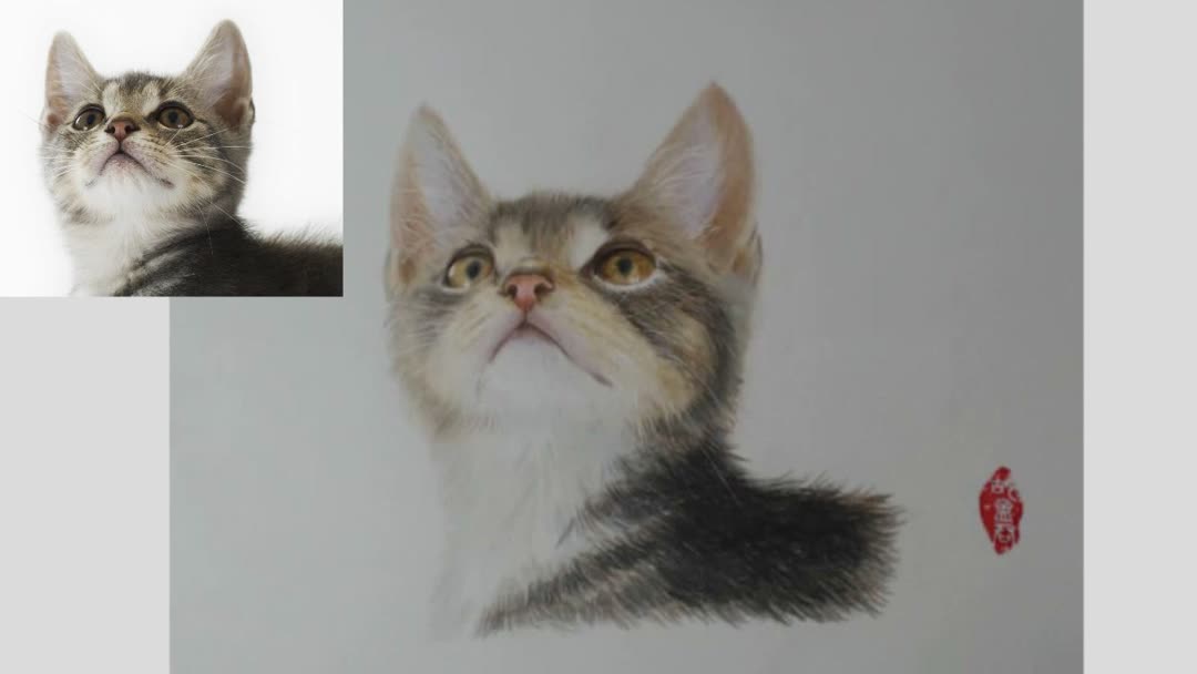 教你们用彩铅画一只超可爱的猫咪!最详细的彩铅教程!入门必看