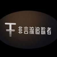 非言流追踪者 