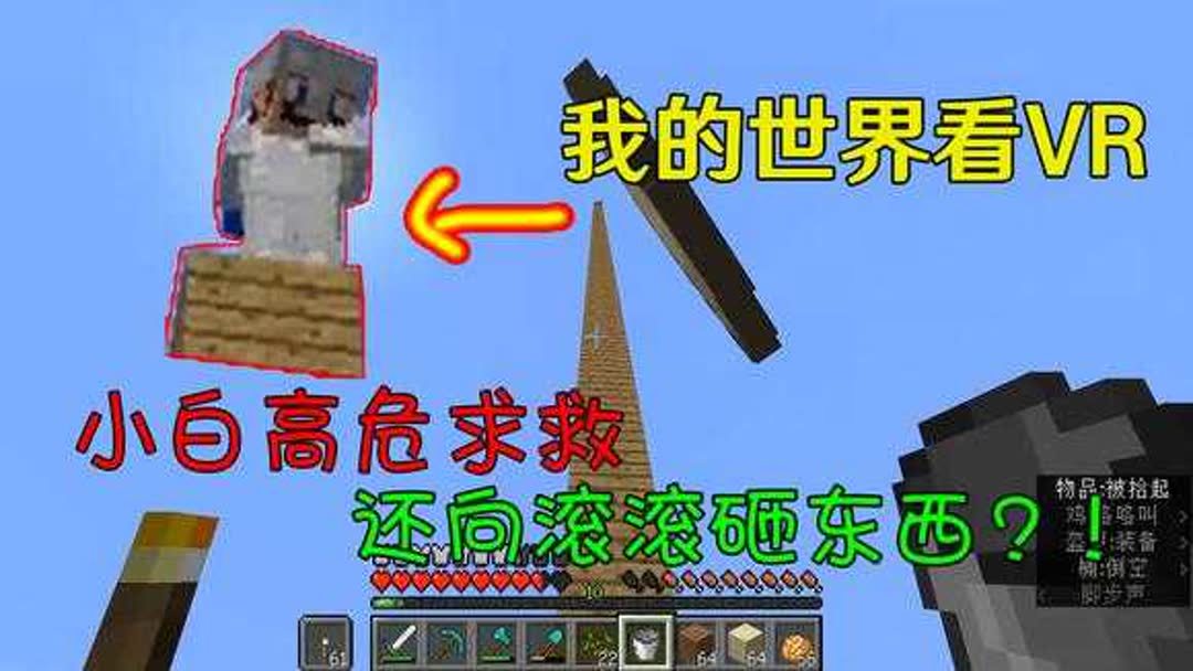 我的世界看VR——造农场心愿达成,小白求救滚滚造出如此水坑?!