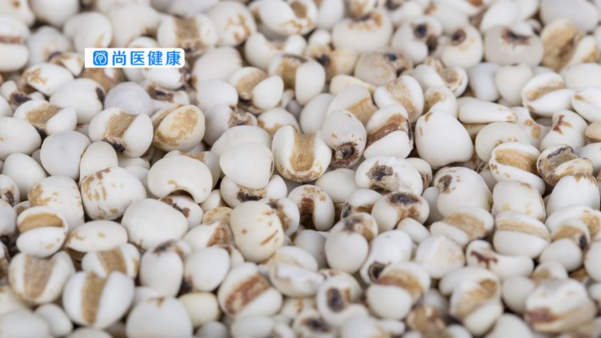 没想到薏仁还有这样的功效与作用,你都知道吗?