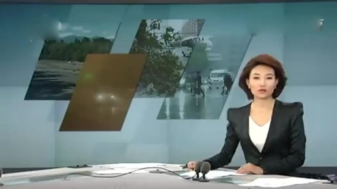 江苏泗阳七级大风吹翻电动门如“大风车” 刮断树木砸碎小车玻璃