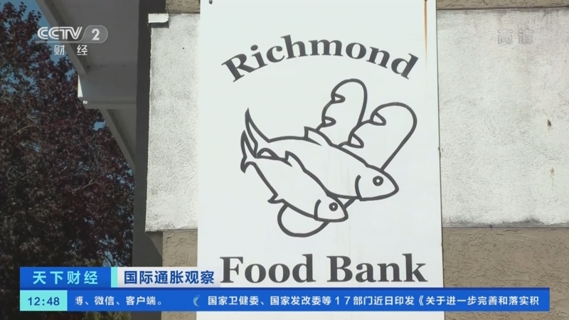 ...国际通胀观察 加拿大食品杂货价格飞涨 “食品银行”接济用户增多