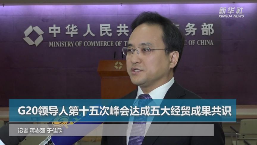 G20领导人第十五次峰会达成五大经贸成果共识