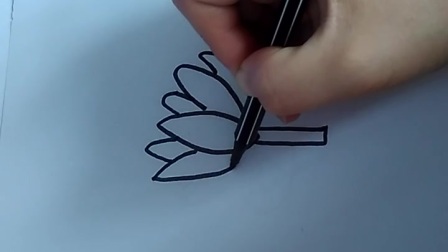 简笔画 荷花 荷花的画法 怎么画荷花 荷花简笔画