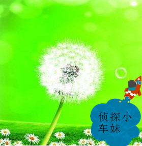 侦探小车妹 