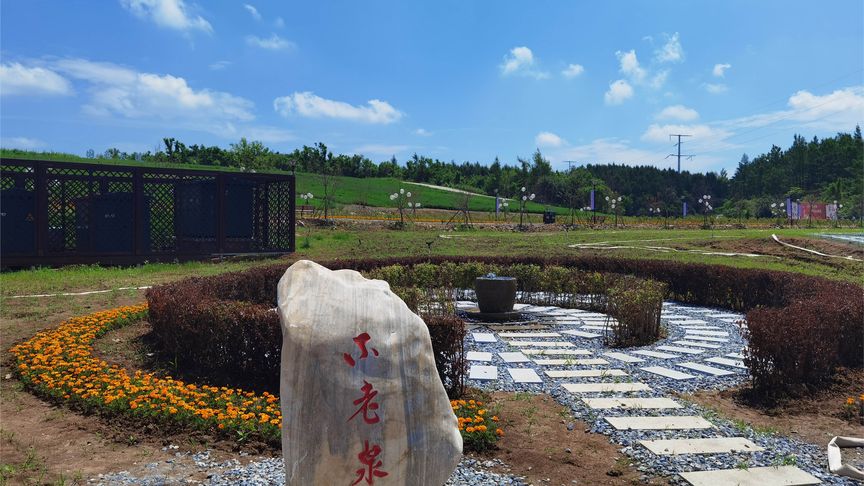 《中华文旅》向世界推荐国色天莲