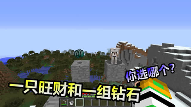 MC我的世界:一只旺财和一组钻石,你们会要啥?时间回溯发动